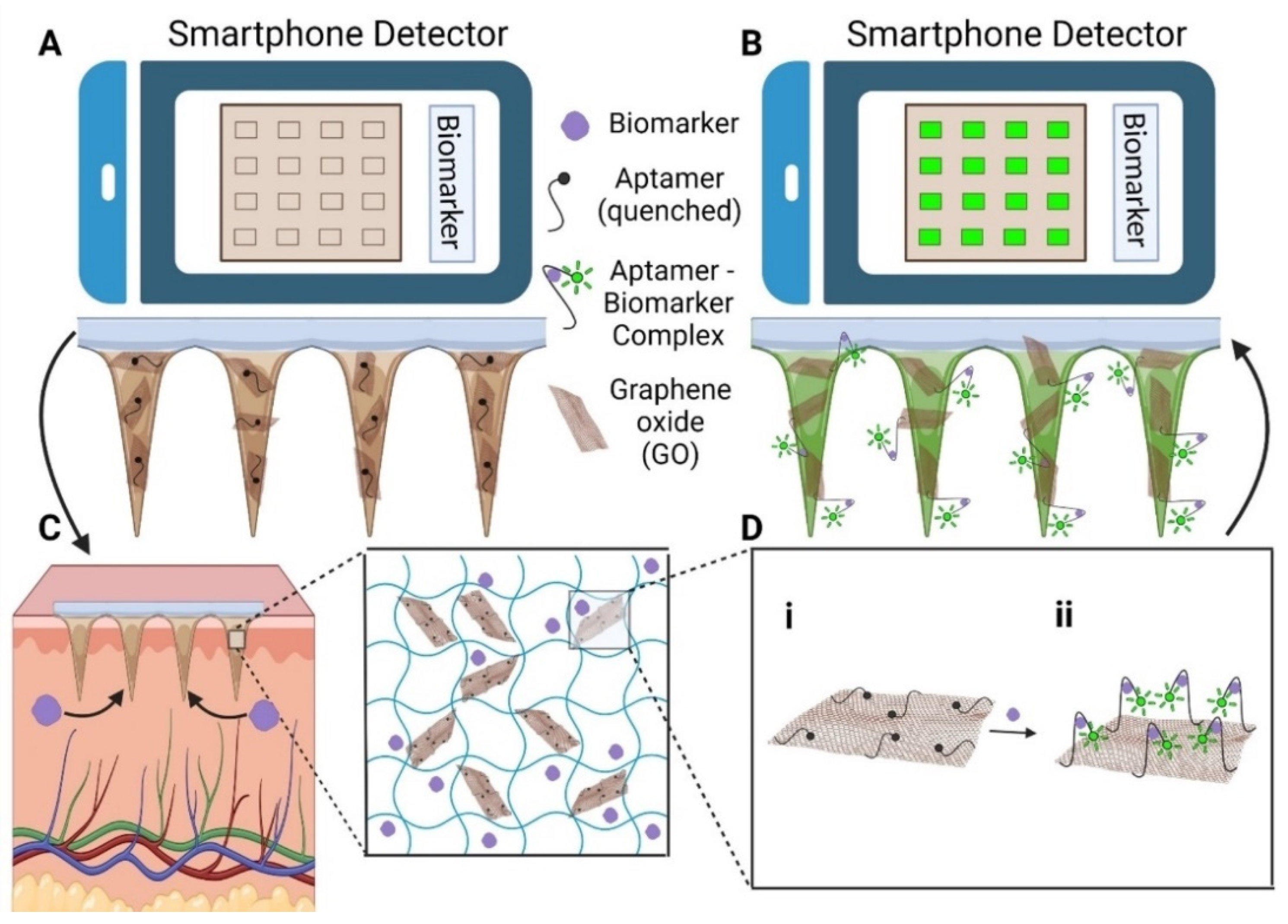 Multifunctional Hydrogel Microneedles (HMNs) in Drug Multifunctional Hydrogel Microneedles (HMNs) in Drug
