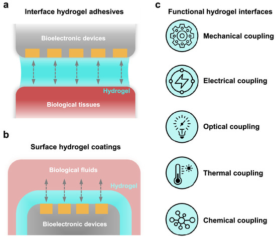 Hydrogel-Based Biointerfaces: Recent Advances, Challenges, and Future ...