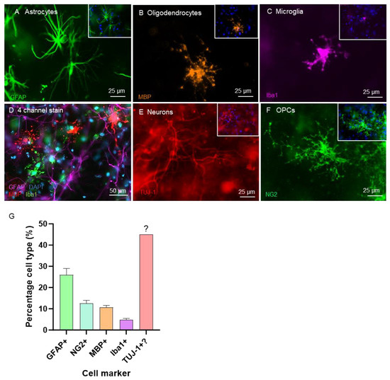 Development of a Three-Dimensional Pathology-Simulating Model of ...