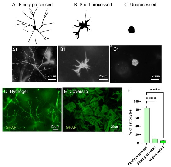 Development of a Three-Dimensional Pathology-Simulating Model of ...