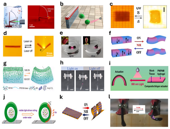 Hydrogel-Based Continuum Soft Robots