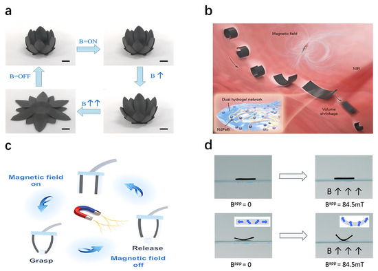 Hydrogel-Based Continuum Soft Robots