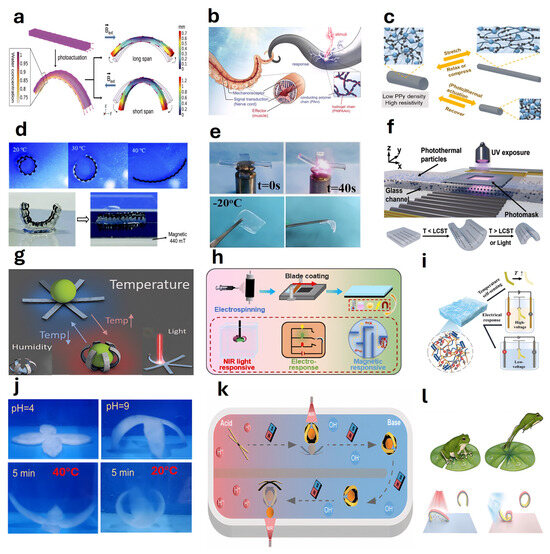 Hydrogel-Based Continuum Soft Robots