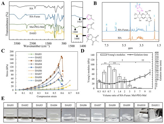 Fast Wound Healing with a New Functional Hyaluronic Acid Dual Network ...