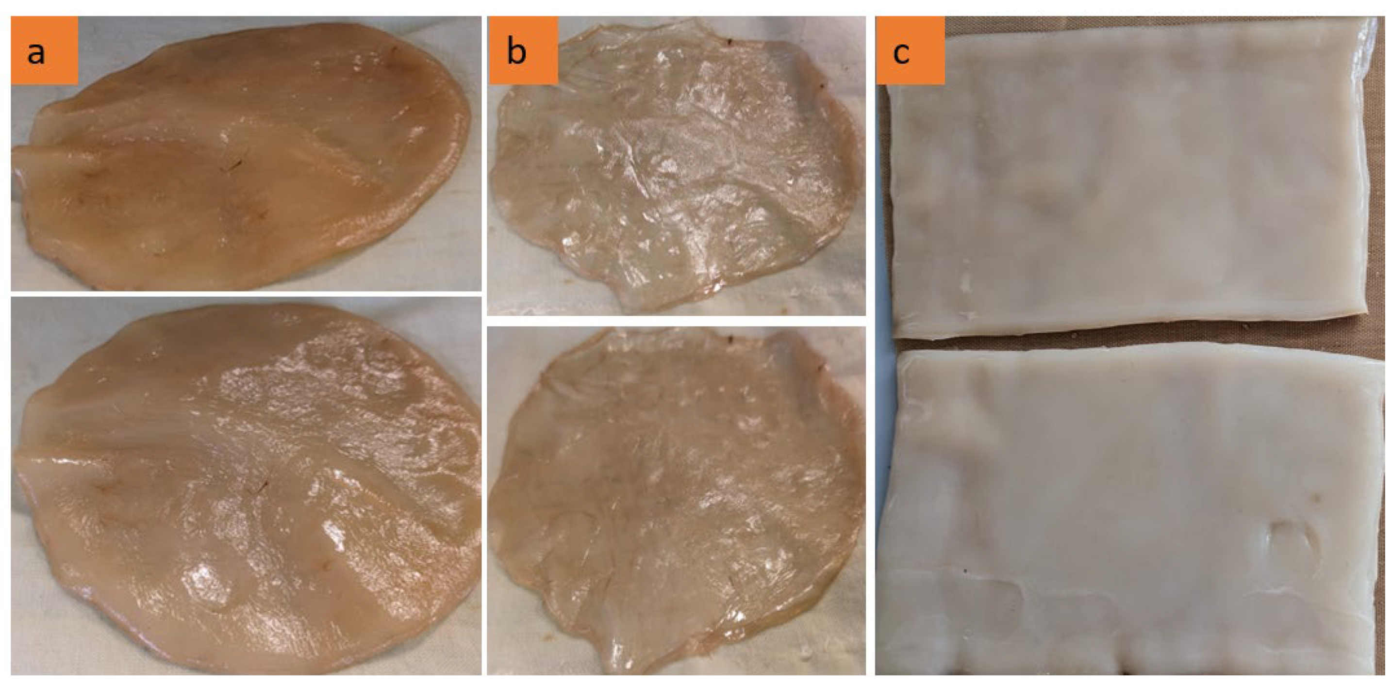 Synthesis of Acetobacter xylinum Bacterial Cellulose Aerogels and Their ...