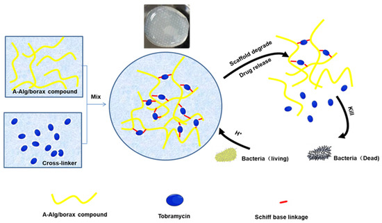 Advancements and Prospects of pH-Responsive Hydrogels in Biomedicine