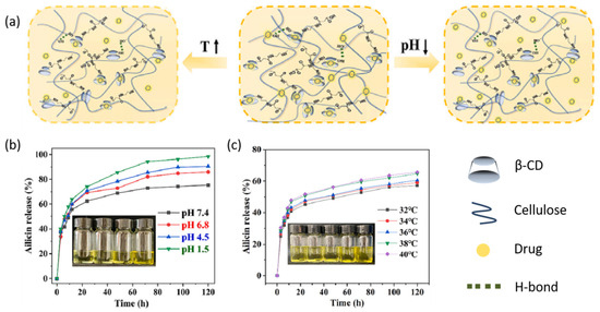 Advancements and Prospects of pH-Responsive Hydrogels in Biomedicine