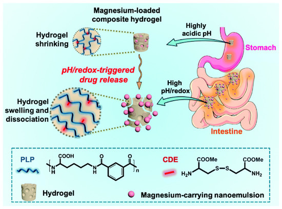 Advancements and Prospects of pH-Responsive Hydrogels in Biomedicine