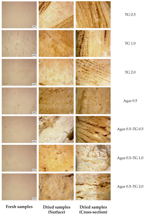 Texture-Modified Soy Protein Gels Using Transglutaminase and Agar for ...