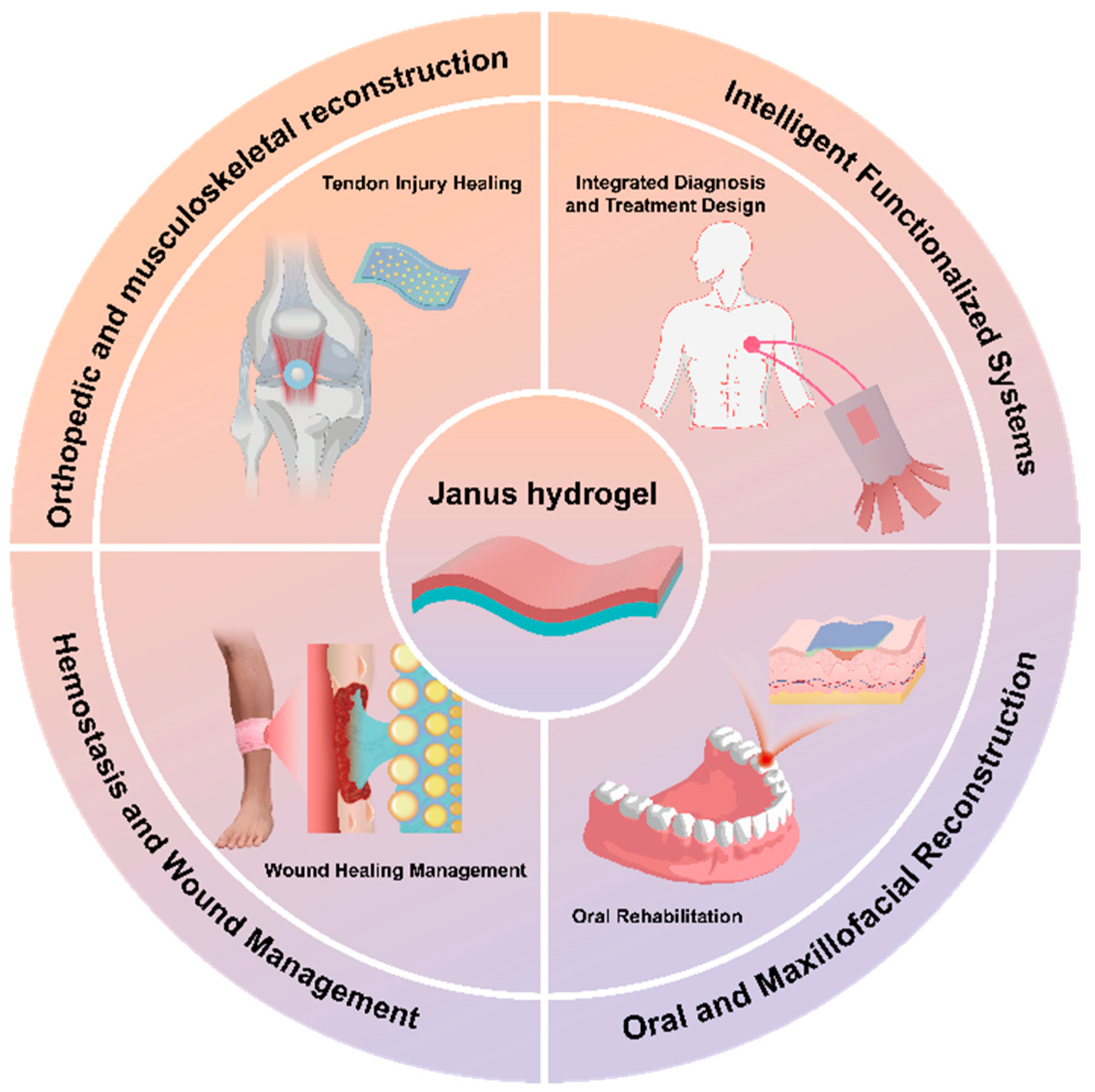 Multifunctional Janus Hydrogels: Surface Design Strategies for Next ...