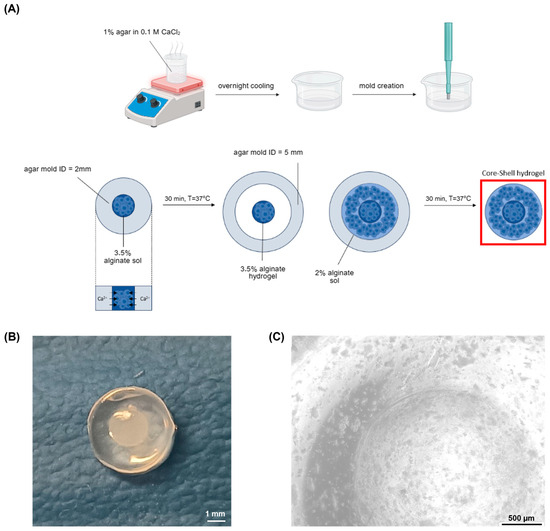 Core-Shell Hydrogels with Tunable Stiffness for Breast Cancer Tissue ...