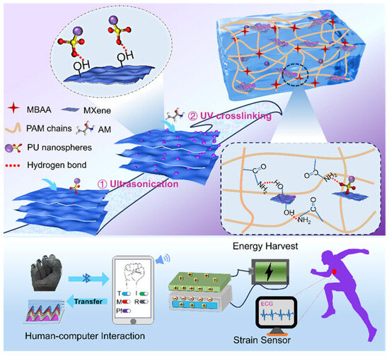 Hydrogels for Translucent Wearable Electronics: Innovations in ...