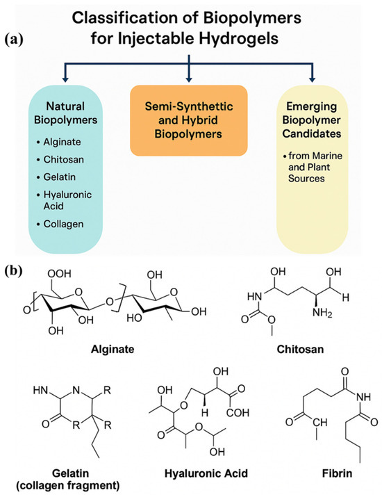 Injectable Biopolymer-Based Hydrogels: A Next-Generation Platform for ...