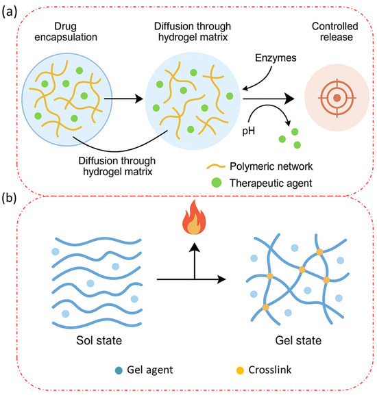 Injectable Biopolymer-Based Hydrogels: A Next-Generation Platform for ...
