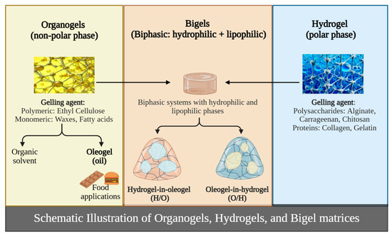Trends and Future Perspectives of Polysaccharide-Based Bigels from ...