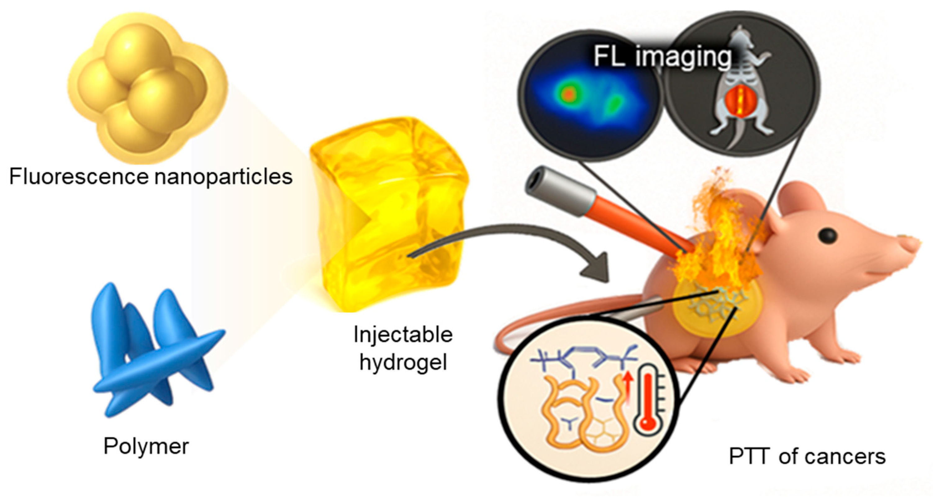 Multifunctional Hydrogels for Advanced Cancer Treatment: Diagnostic Imaging and Therapeutic ...