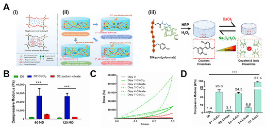 Hydrogel Network Architecture Design Space: Impact on Mechanical and ...
