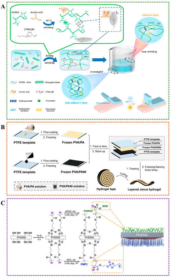 Janus Hydrogels: Design, Properties, and Applications