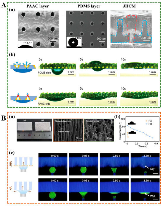Janus Hydrogels: Design, Properties, and Applications
