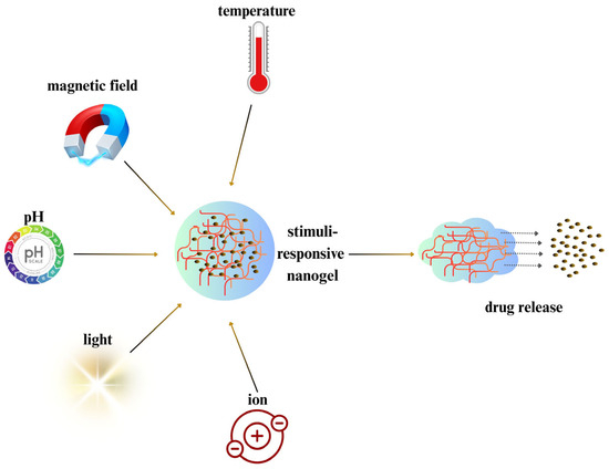 Chitosan-Based Nanogels in Modern Drug Delivery: Focus on Protein and ...