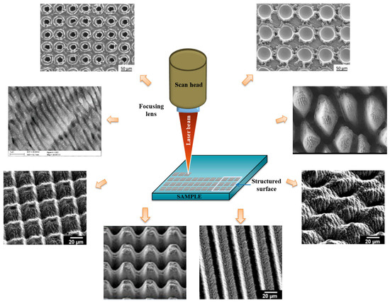 Laser-Based Fabrication of Hydrogel Scaffolds for Medicine: From ...