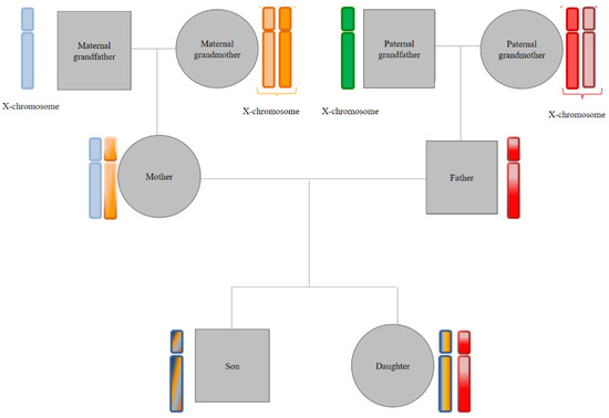 Genealogy: The Tree Where History Meets Genetics