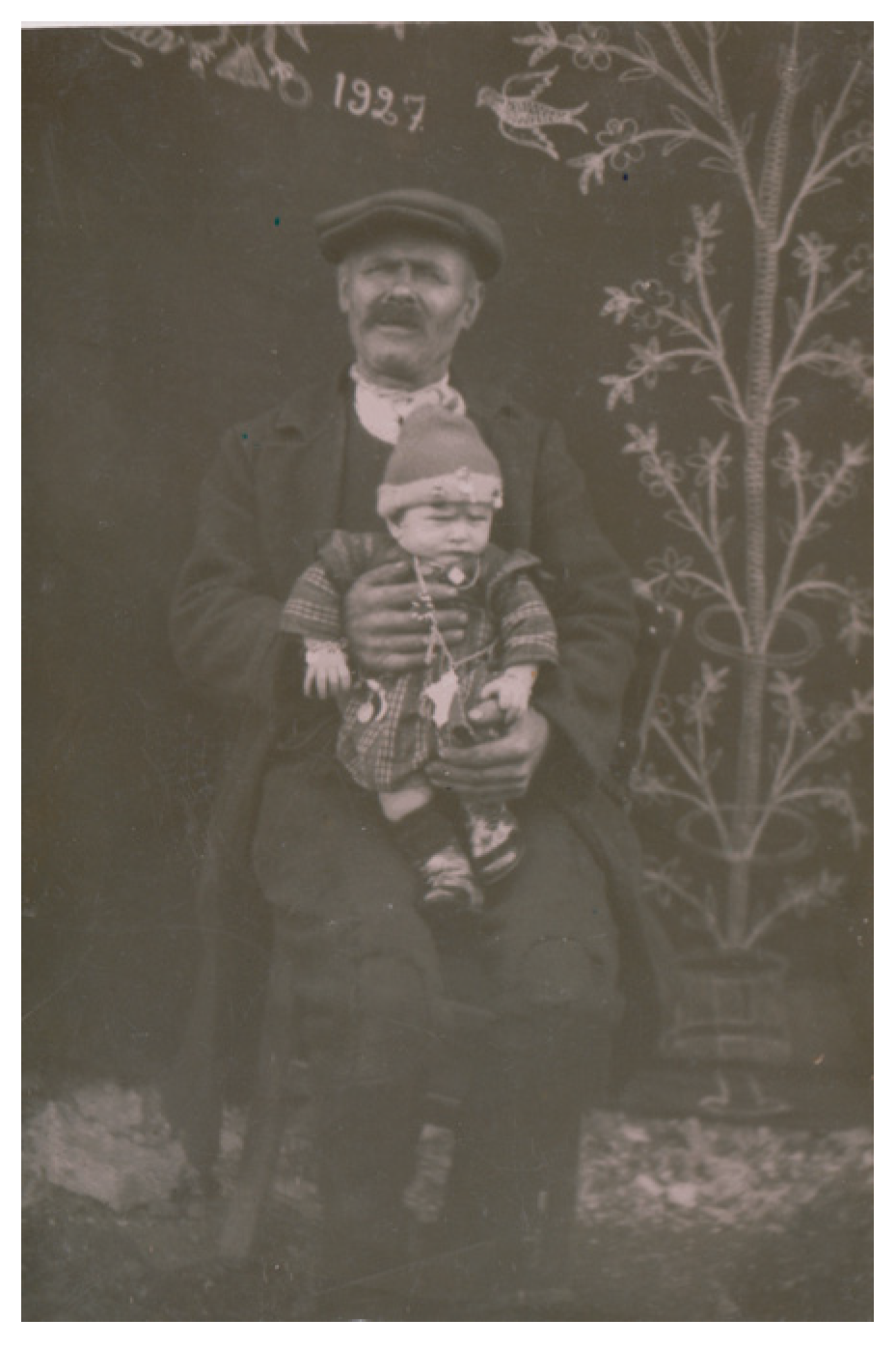 Genealogy | Free Full-Text | Poverty, Wars, and Migrations: The ...