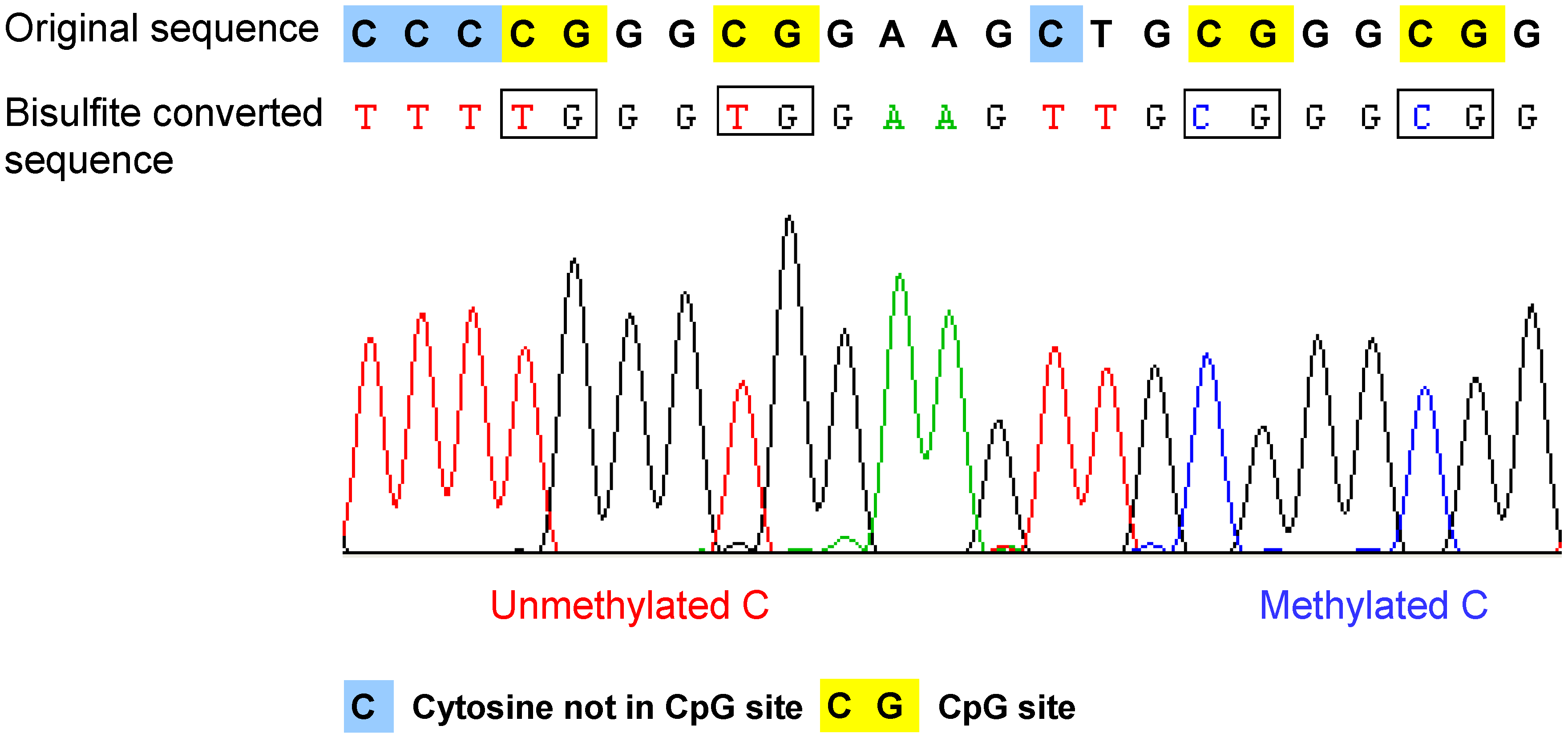 Genes Free Full Text The Application Of Next Generation Sequencing