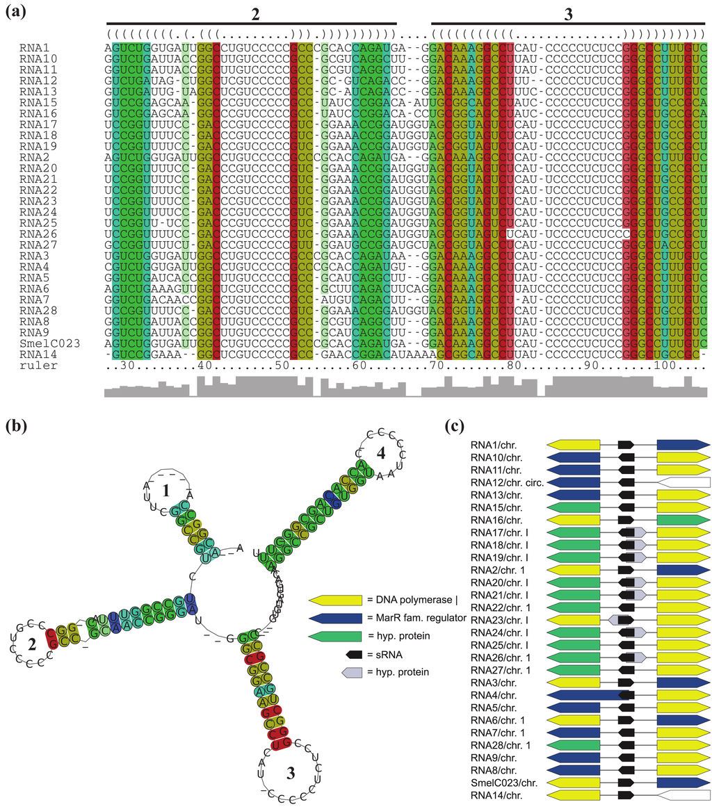 Genes | Special Issue : Bacterial Genomes and Their Evolution Genes | Special Issue : Bacterial Genomes and Their Evolution