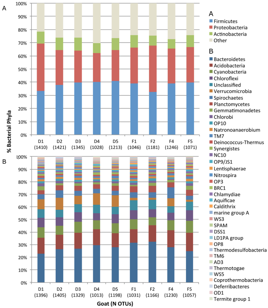 Comparison of the Fecal Microbiota in Feral and Domestic Goats