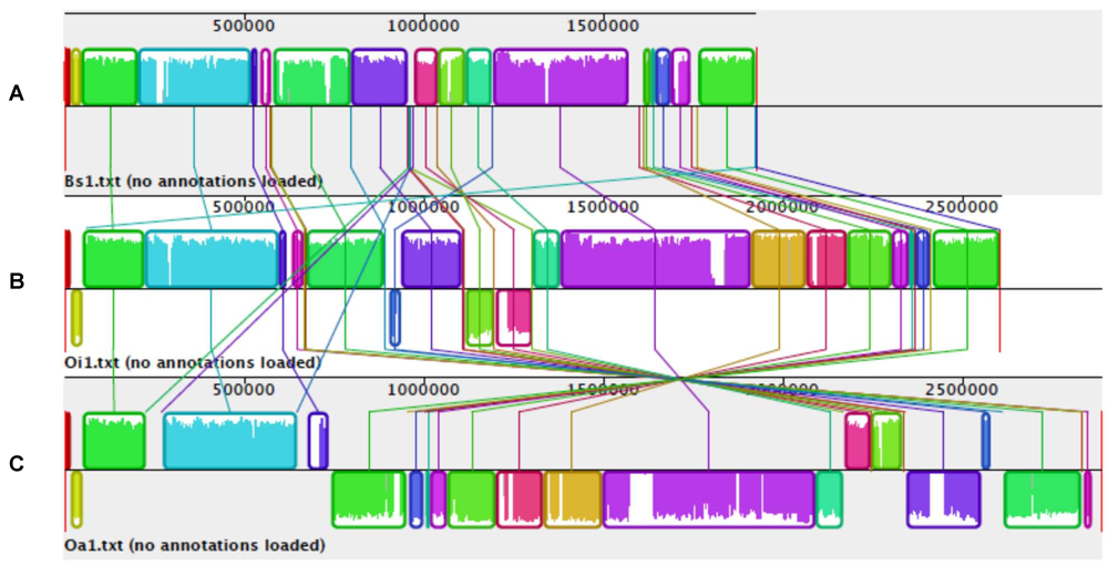 Genes | Special Issue : Bacterial Genomes and Their Evolution