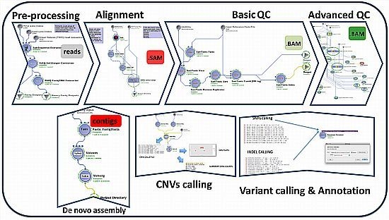 Genes | Free Full-Text | Next Generation Sequence Analysis and Computational Genomics Using ...