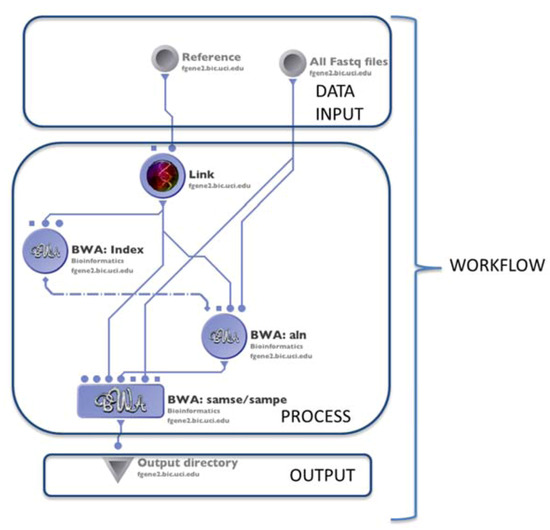 Next Generation Sequence Analysis and Computational Genomics Using ...