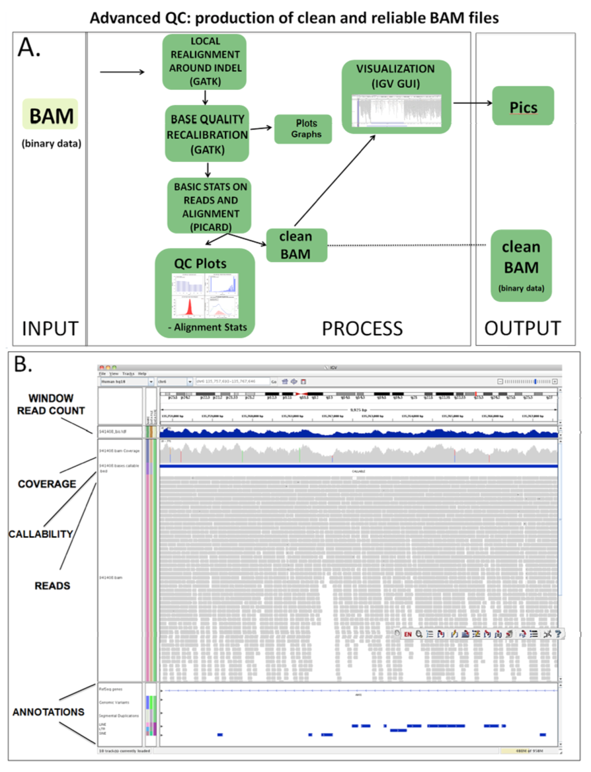 Next Generation Sequence Analysis and Computational Genomics Using Graphical Pipeline Workflows