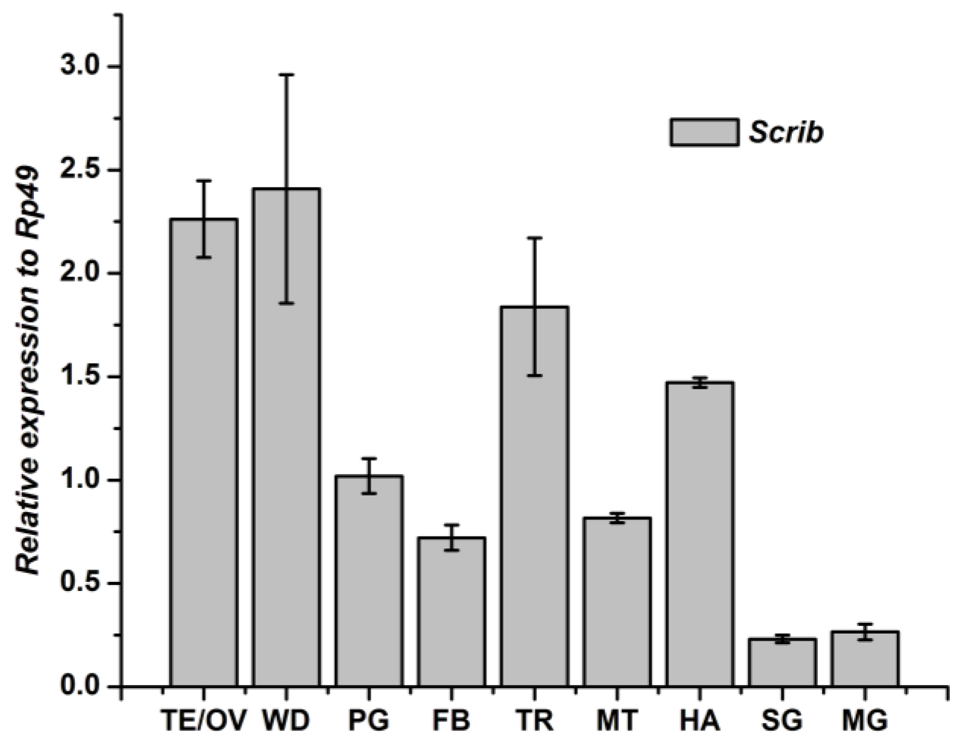 Molecular Expression of the Scribble Complex Genes, Dlg, Scrib and Lgl ...