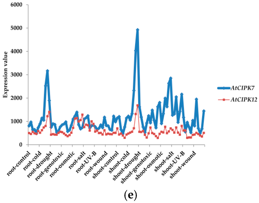 Mechanisms and Physiological Roles of the CBL-CIPK Networking System in ...