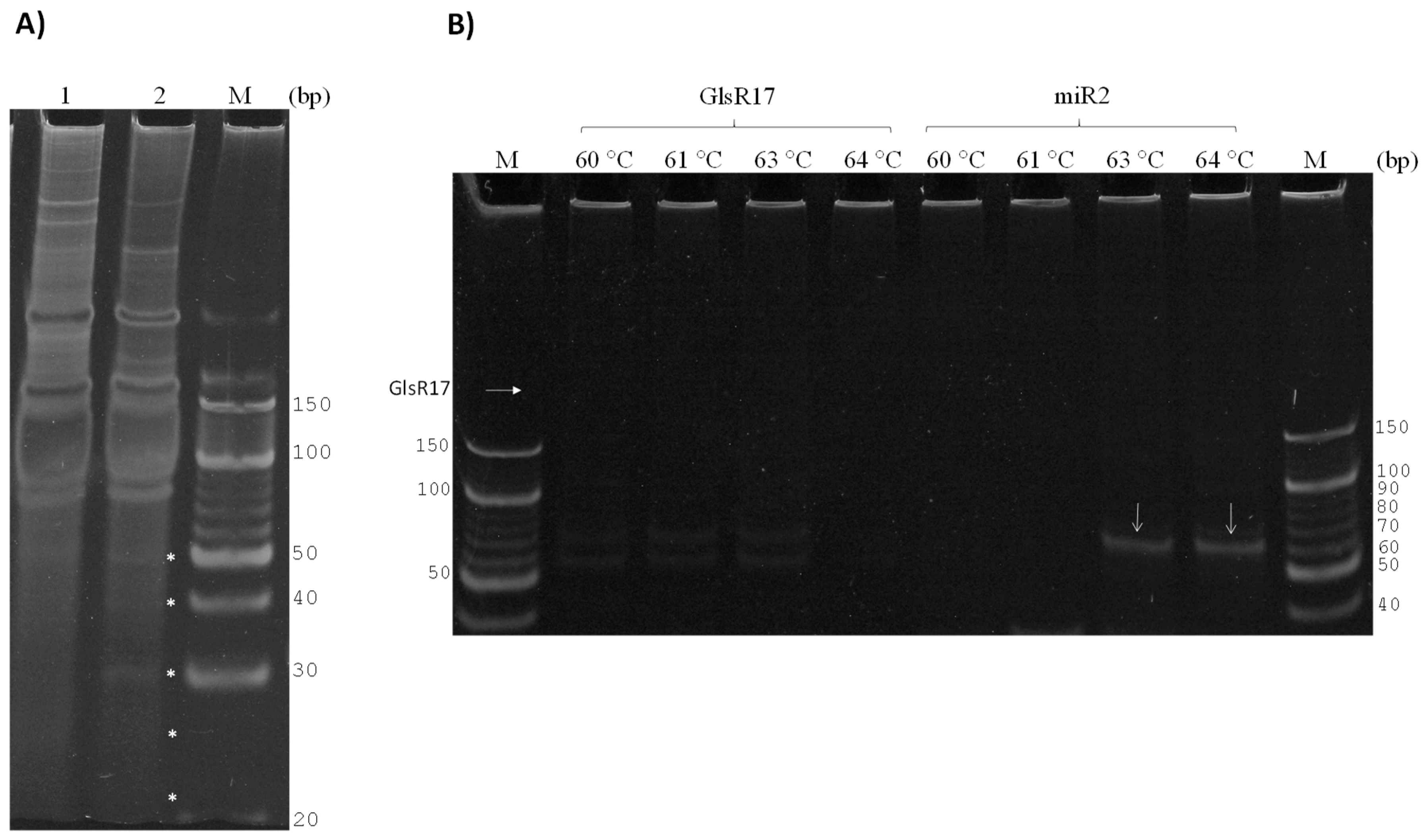 Stem-Loop RT-qPCR as an Efficient Tool for the Detection and ...