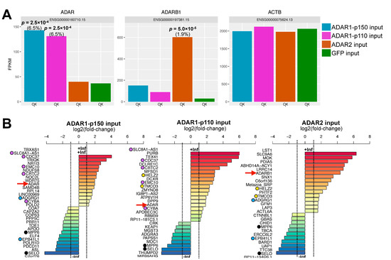 Differential Binding of Three Major Human ADAR Isoforms to Coding and ...
