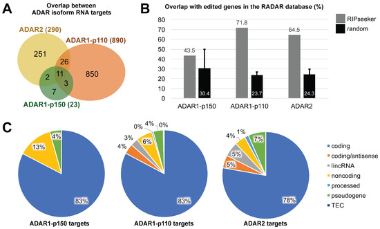 Differential Binding of Three Major Human ADAR Isoforms to Coding and ...