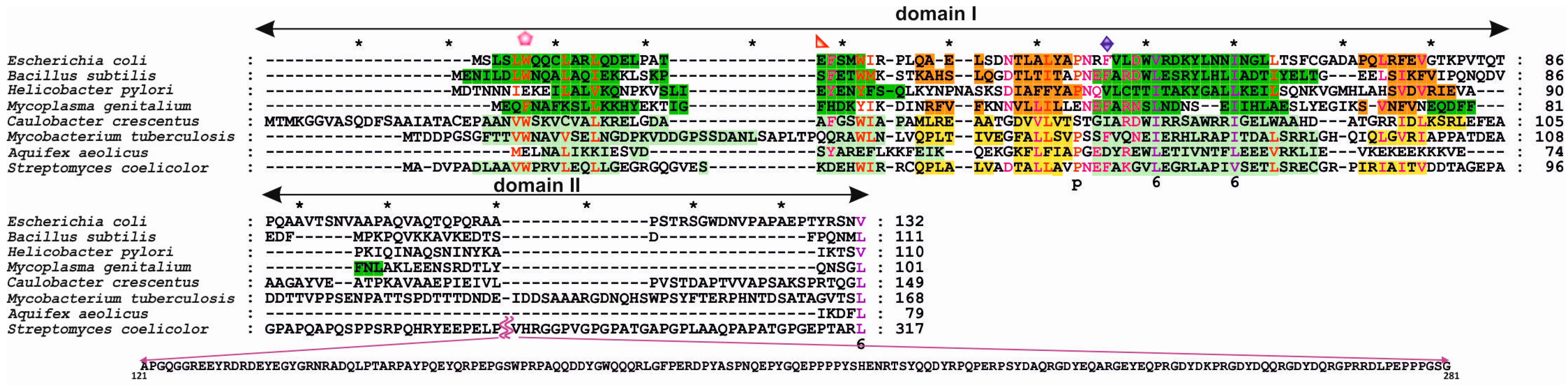 The Role of the N-Terminal Domains of Bacterial Initiator DnaA in the ...