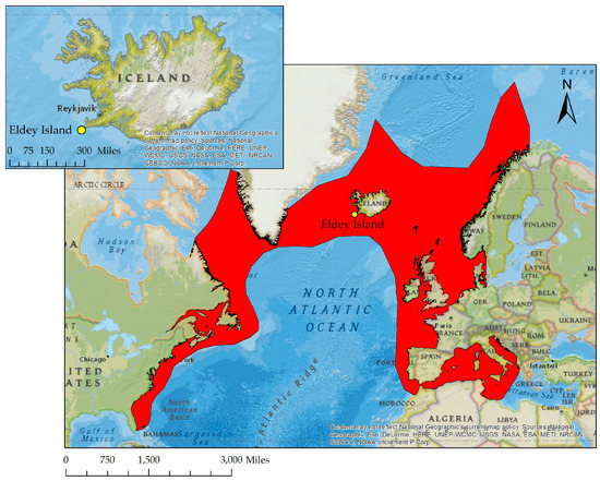 An ‛Aukward’ Tale: A Genetic Approach to Discover the Whereabouts of ...