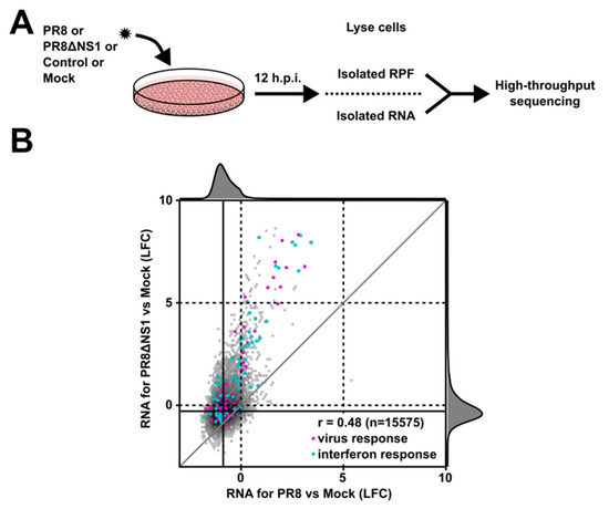 Viral Infection Identifies Micropeptides Differentially Regulated in ...