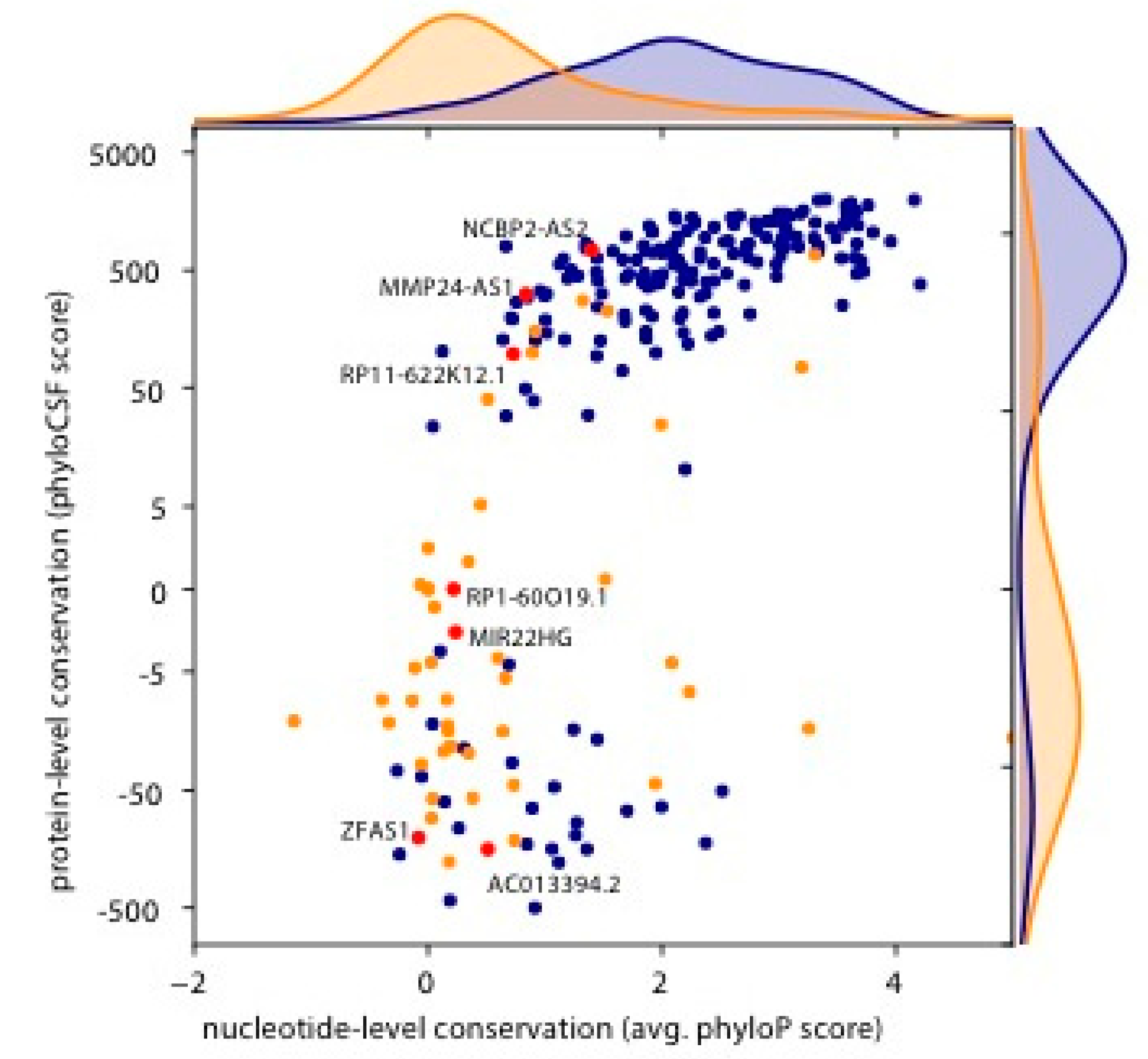 Viral Infection Identifies Micropeptides Differentially Regulated in ...