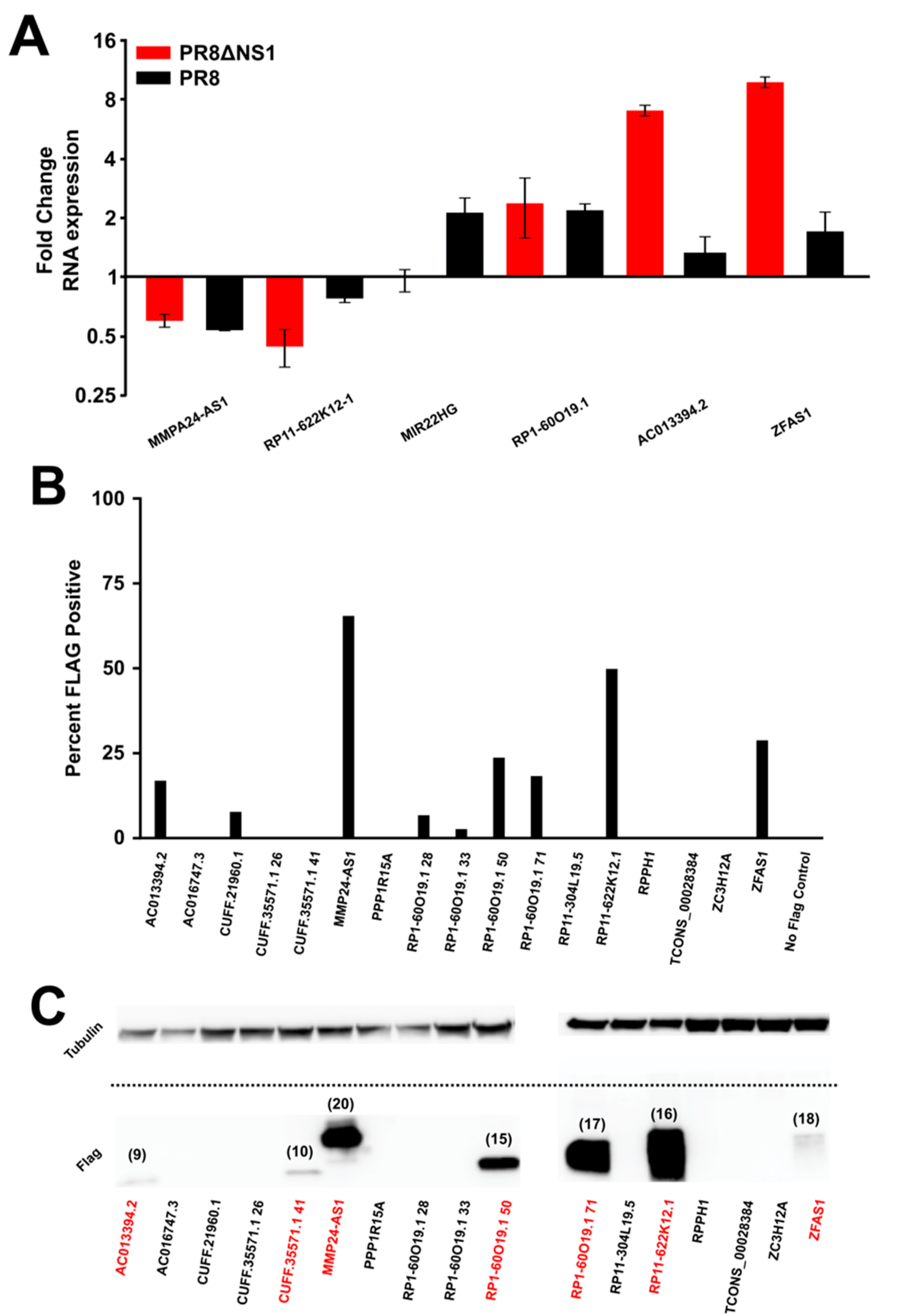 Viral Infection Identifies Micropeptides Differentially Regulated in ...