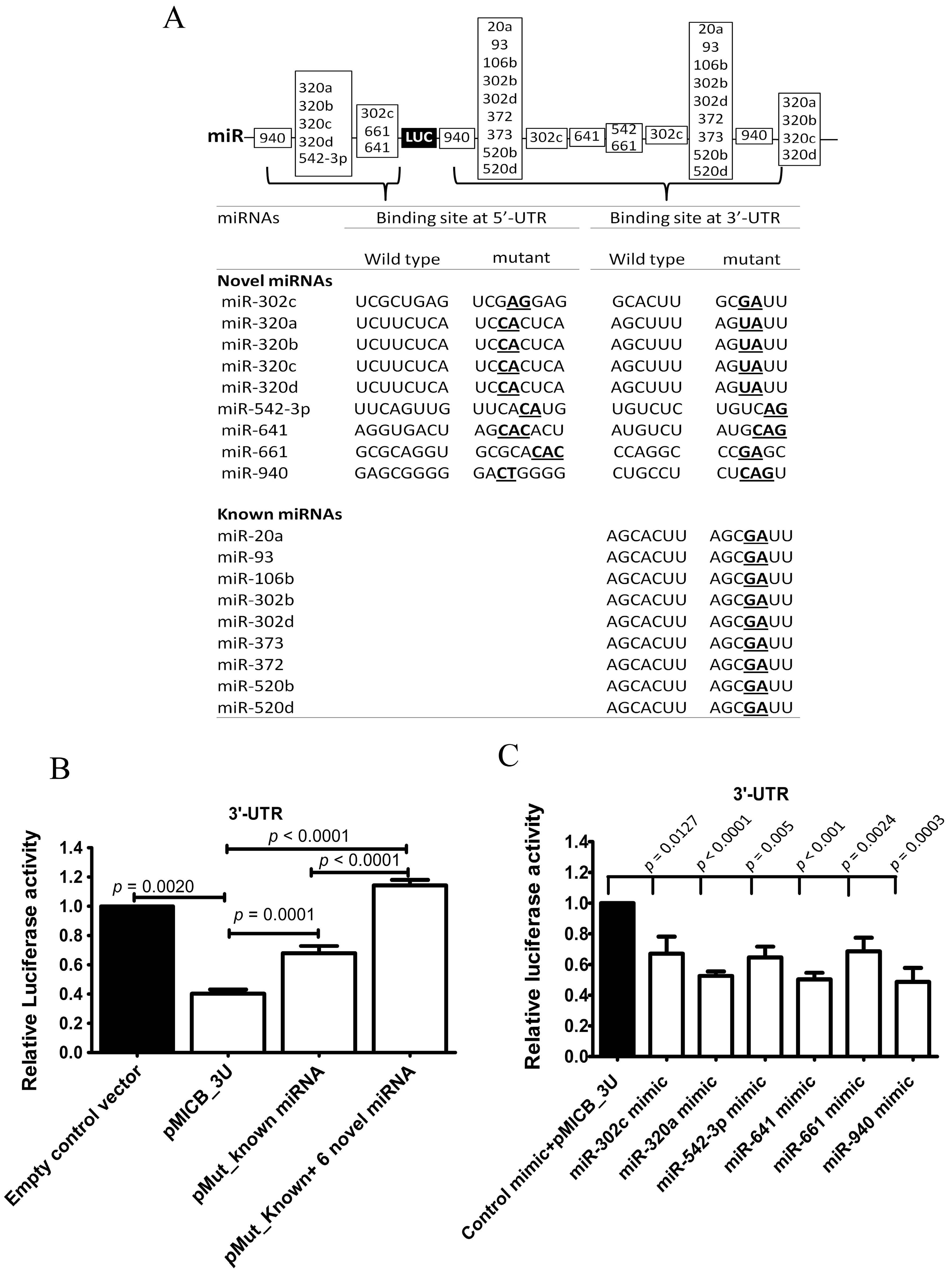 5′-UTR and 3′-UTR Regulation of MICB Expression in Human Cancer Cells ...