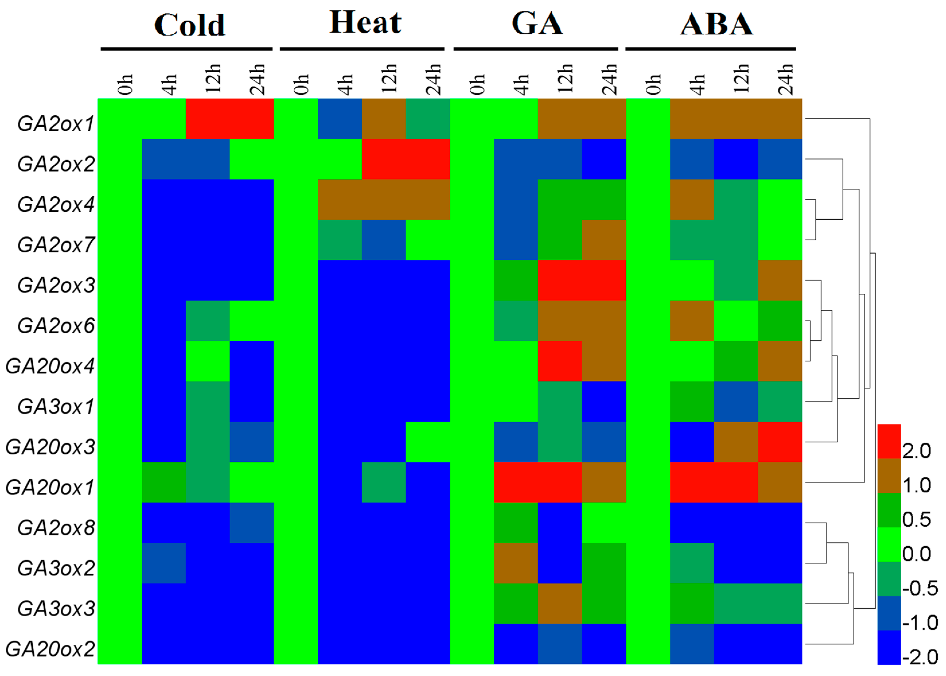 Genes | Free Full-Text | Genome-Wide Analysis of the Biosynthesis and ...