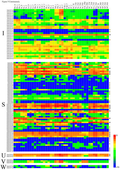 Genes | Free Full-Text | Genome-Wide Identification and Structural ...