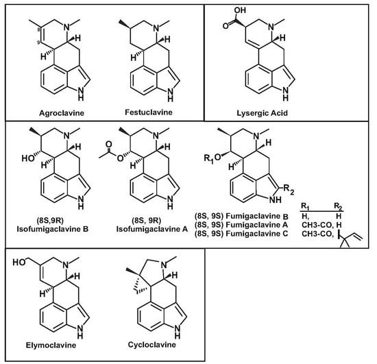 Clavine Alkaloids Gene Clusters of Penicillium and Related Fungi ...