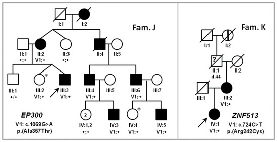 Genes | Free Full-Text | Identification of Inherited Retinal Disease ...