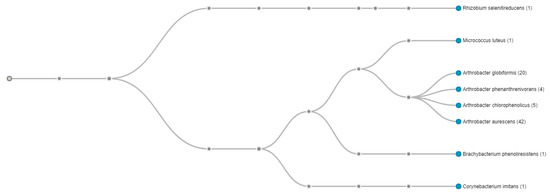 Physiological and Comparative Genomic Analysis of Arthrobacter sp. SRS ...
